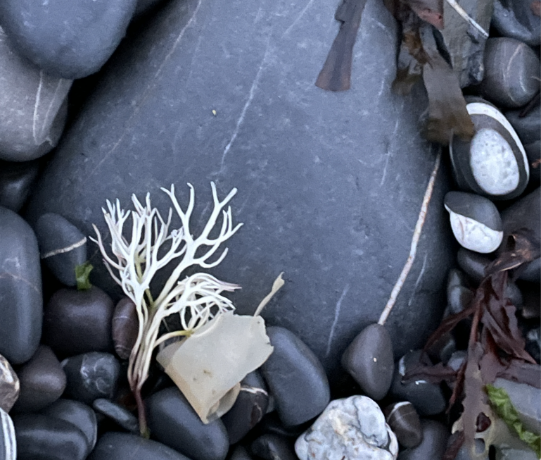 2021: The Sleeve Notes – David Belbin